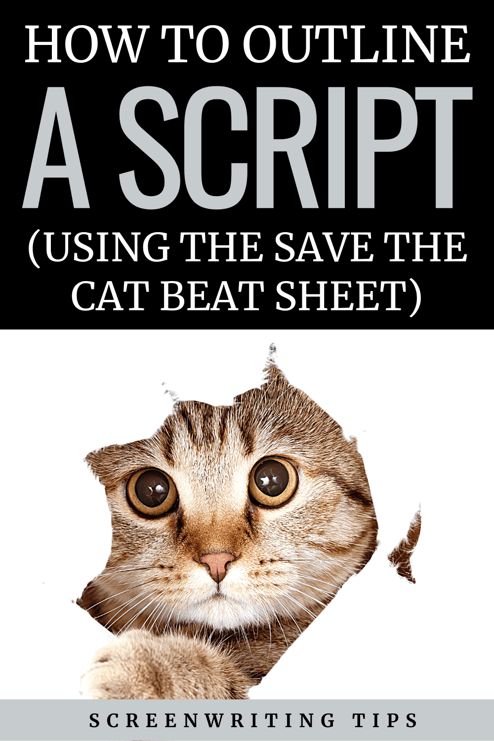 Save The Cat Beat Sheet For Screenwriters [+ FREE Template]