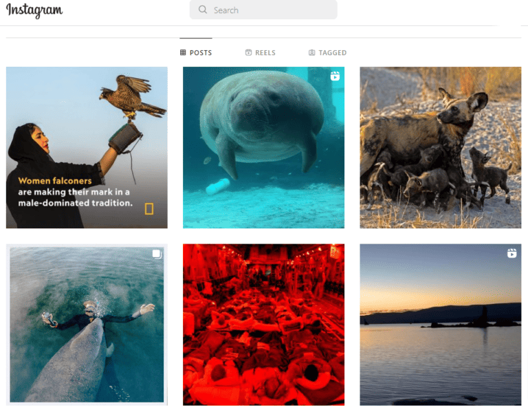 Visual Storytelling 101: Tips, Examples, and Trends Shaping the Future