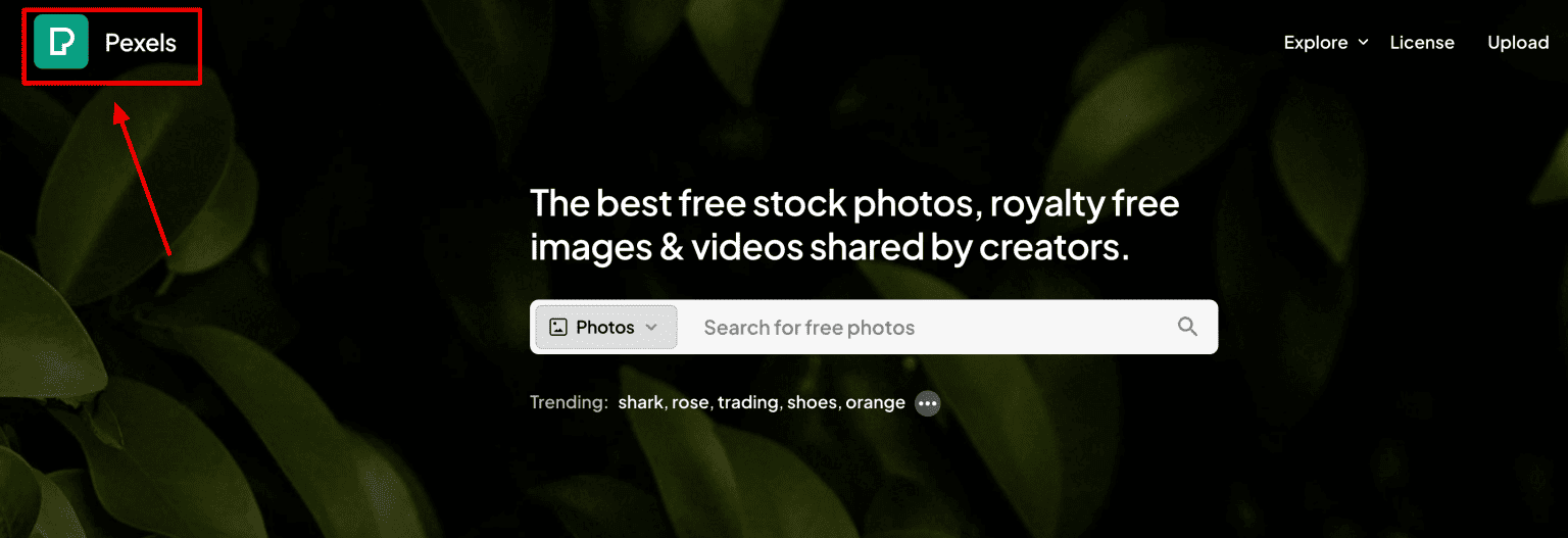 9+ Best Cheap Stock Video Sites for Budget-Friendly HD & 4K Clips
