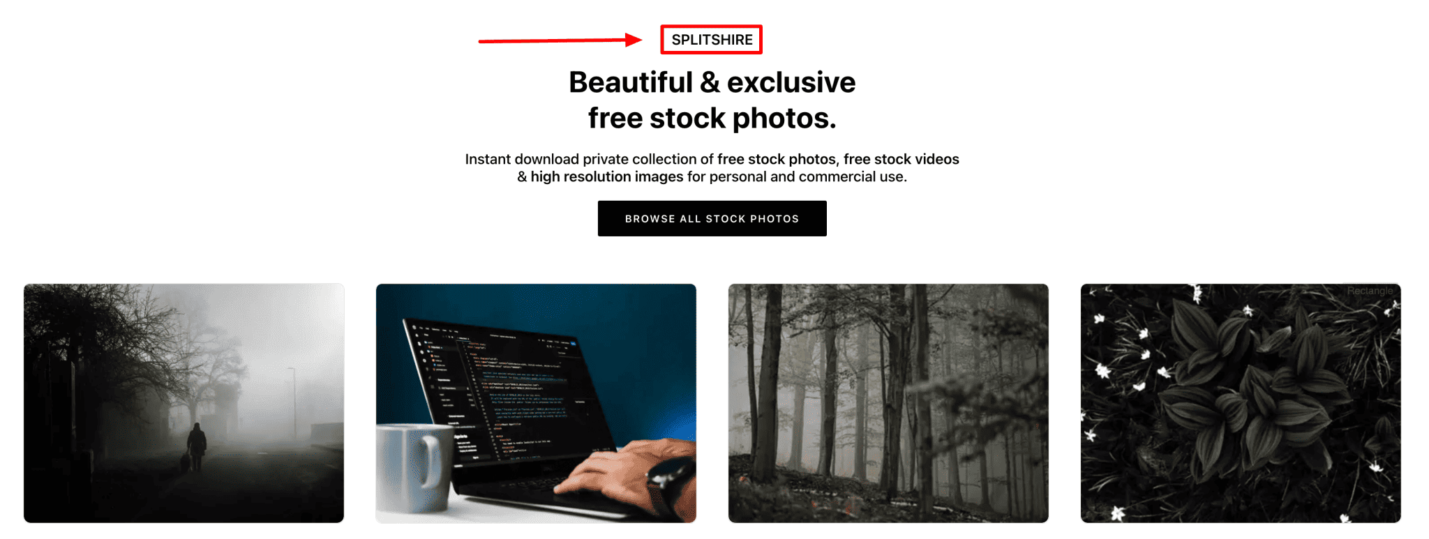 9+ Best Cheap Stock Video Sites for Budget-Friendly HD & 4K Clips